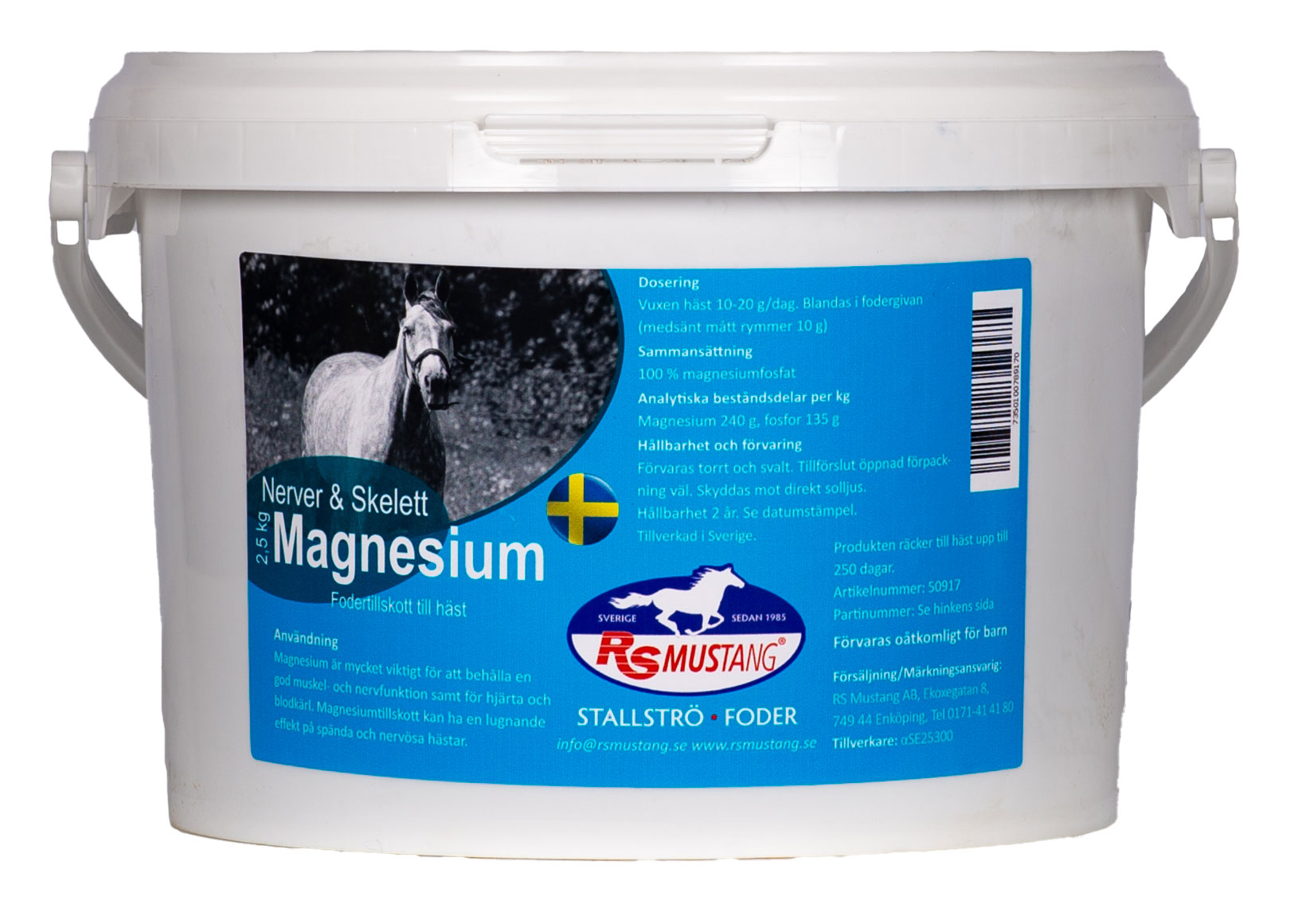Magnesium_stor » RS Mustang